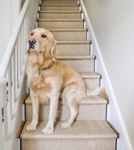 Hollywood and Waterfall Stair Runner Installation Guide